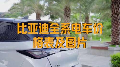 3290张图全解析!比亚迪全系电车价格一览,哪款才是性价比之王?