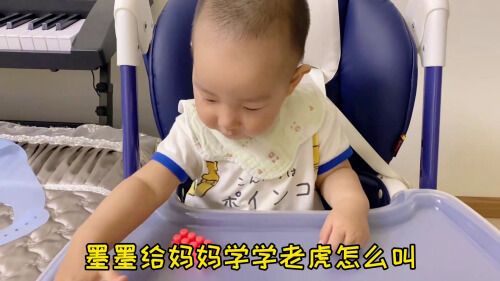 1岁小宝宝模仿6种动物叫声,惟妙惟肖!