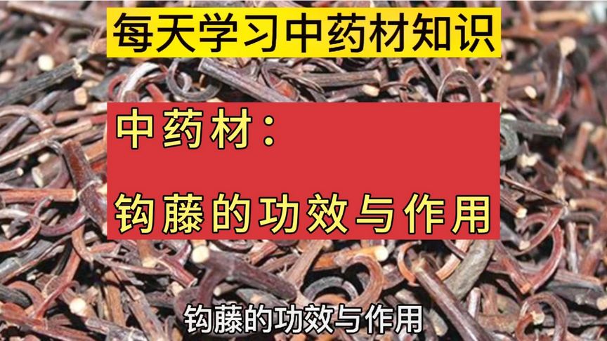 中药材:钩藤的功效与作用