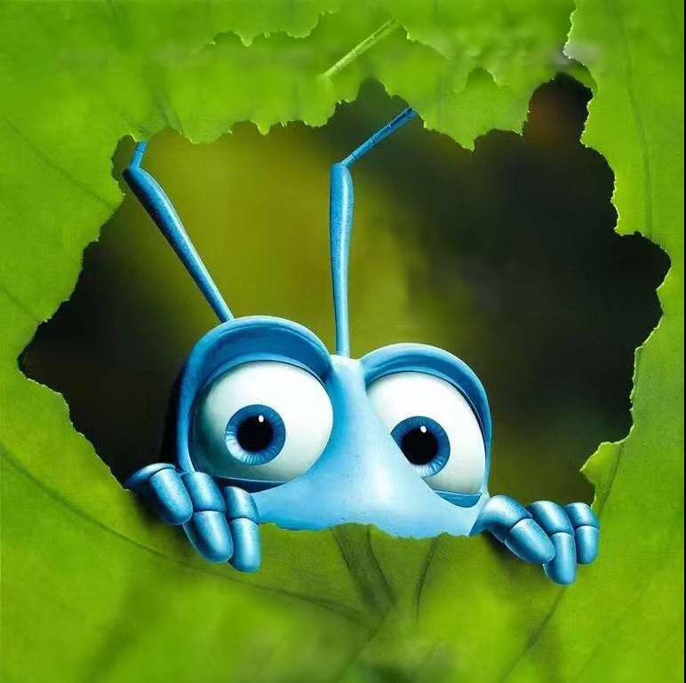 一个虫虫的旅行 