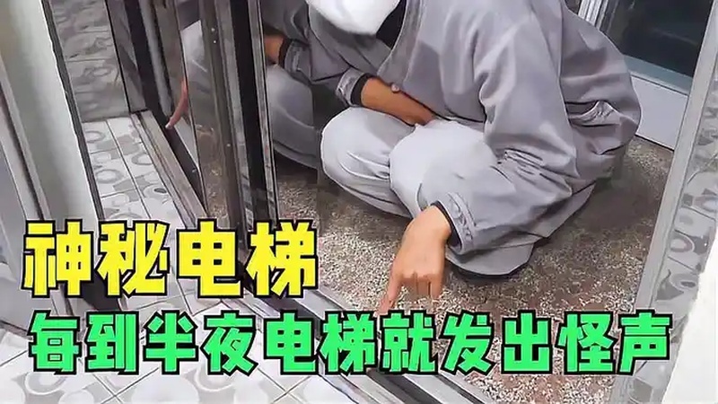 每到半夜她家的电梯就发出奇怪的声音 拆了后竟是一只小可爱作怪