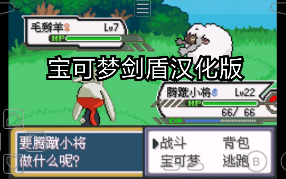 《宝可梦剑盾汉化版》下载全过程