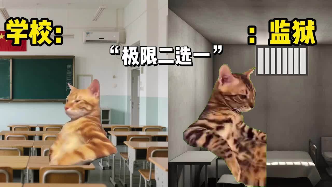 学校跟监狱有什么区别学校跟监狱有什么区别