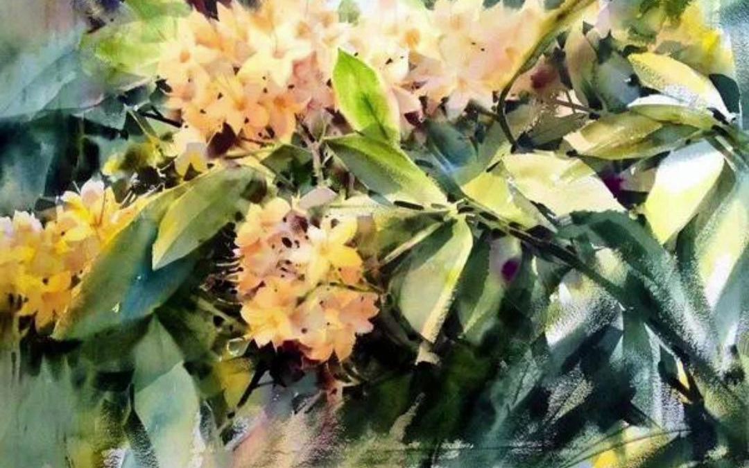 张笔触狂放的水彩画花卉作品欣赏!