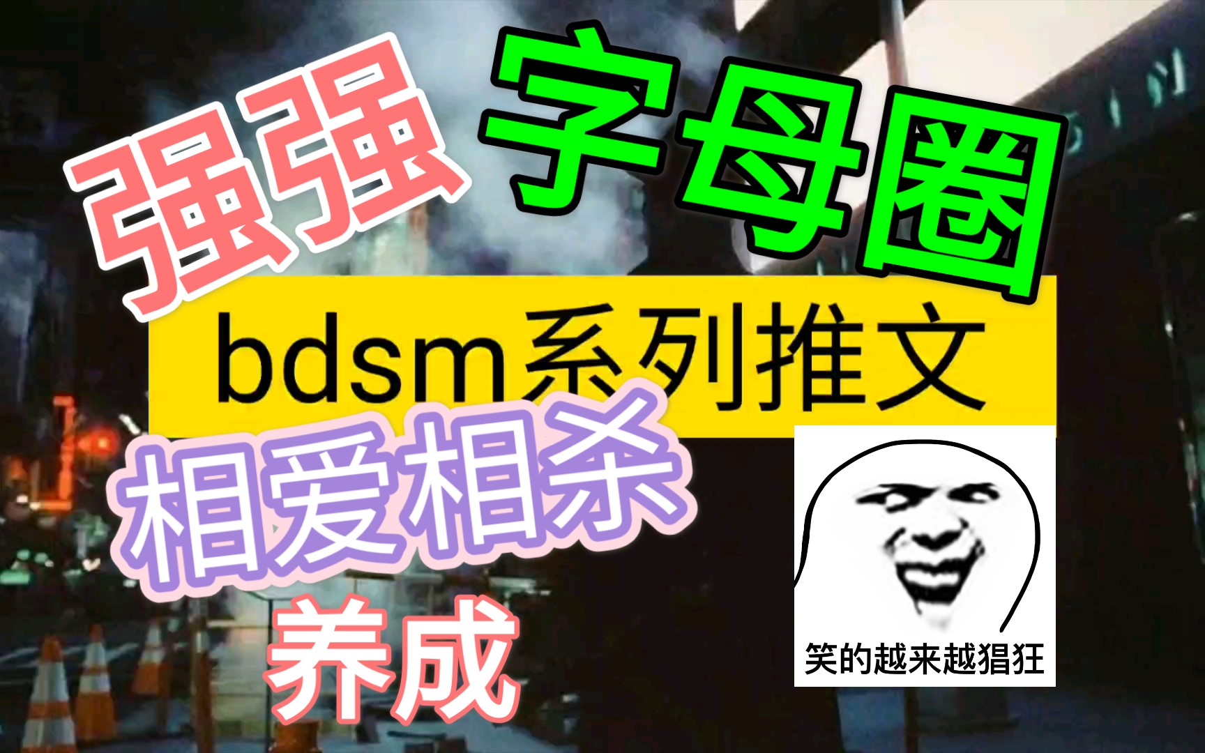 【原耽推文】值得收藏的bdsm小说 强强 相爱相杀 养成 字母圈