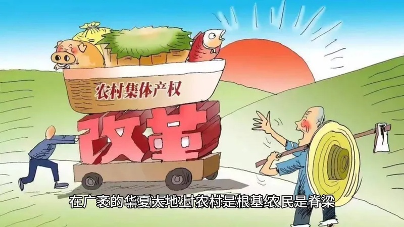从温饱到富足,农民的新希望在哪?农村集体经济组织成关键!