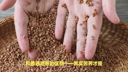 别再冤枉荞麦了!揭秘苦荞的惊人功效与食用禁忌,吃对才健康
