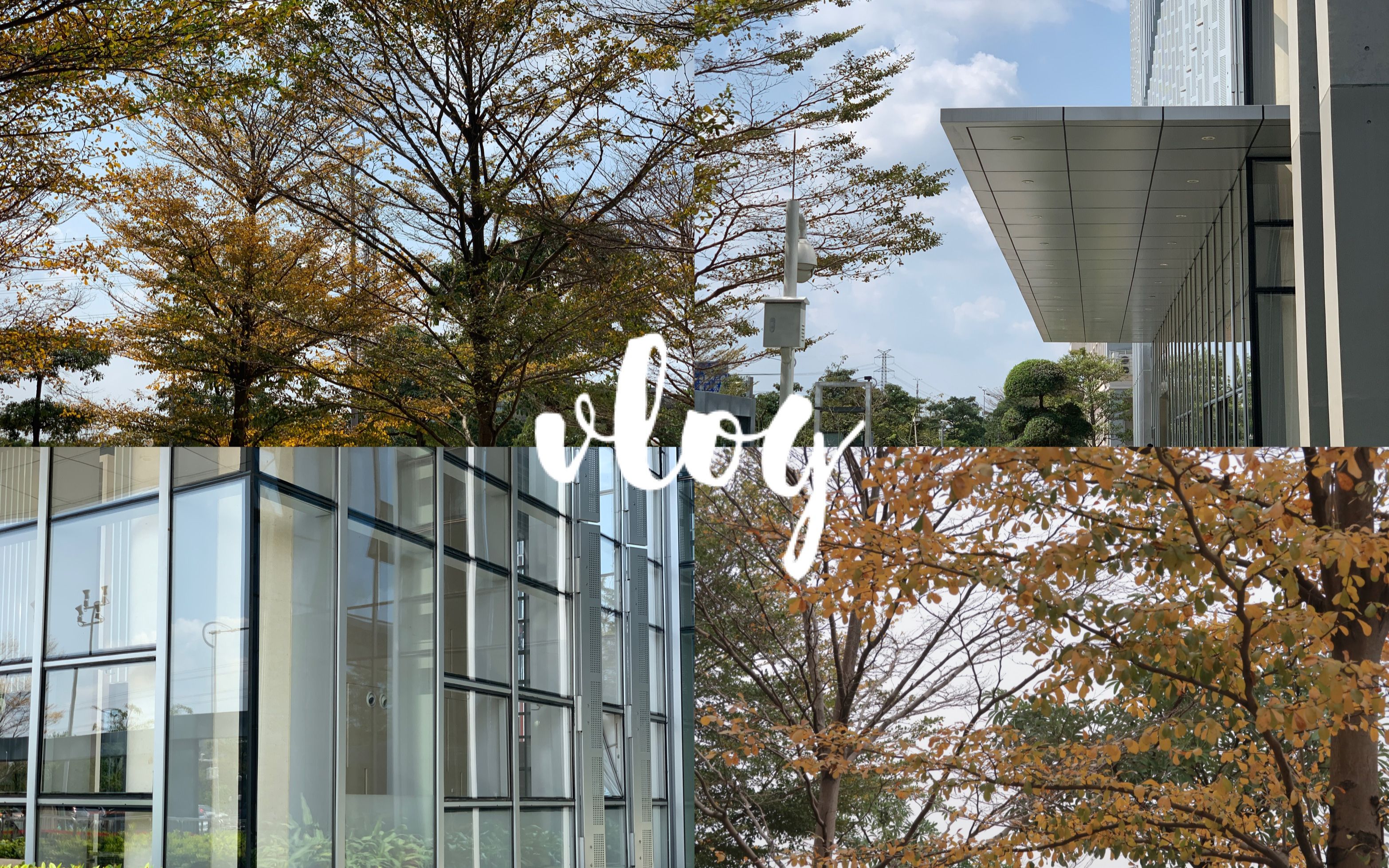 【gaga's vlog#15】简单快手早餐 油泼面 | 复工的第一周 也是正式上班...