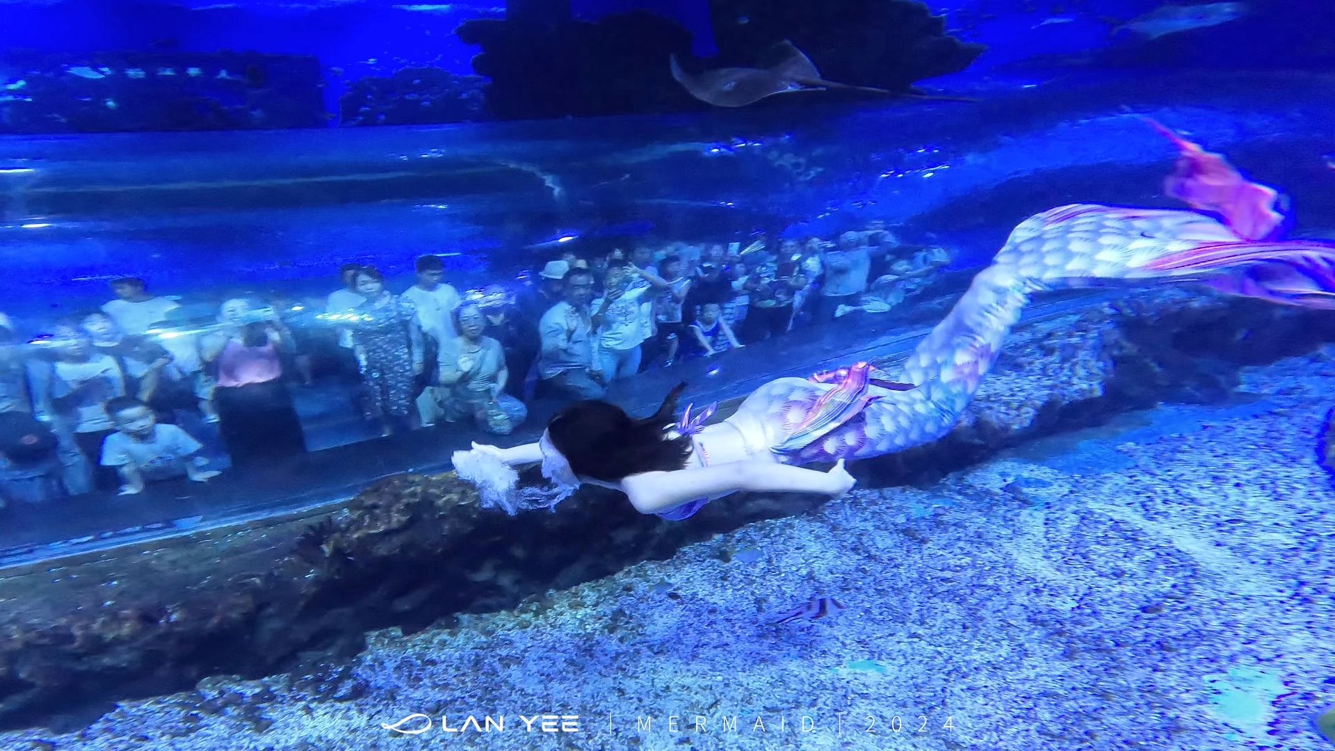 12岁的女孩能有多勇敢|天津儿童美人鱼潜水|学生特辑