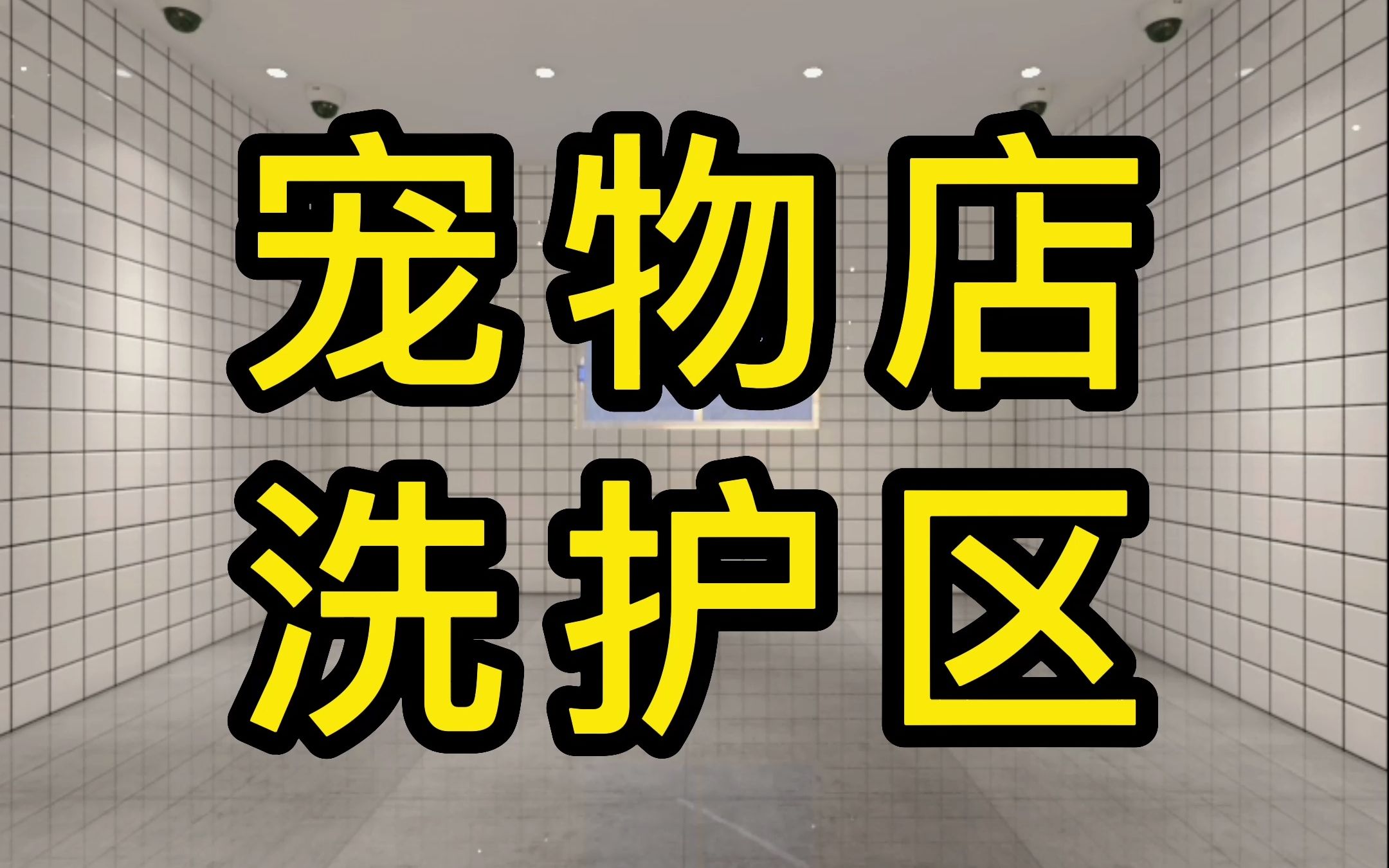 宠物店洗护区