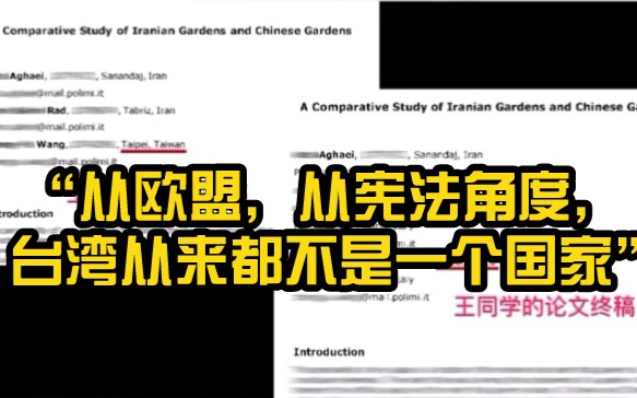 “论文国籍写台湾?”大陆老师切中文这样说.