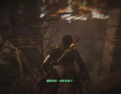 《古墓丽影-崛起》PS4版全收集流程解说14-被淹没的档案室