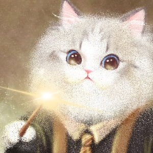 杰西卡赫奇帕奇 