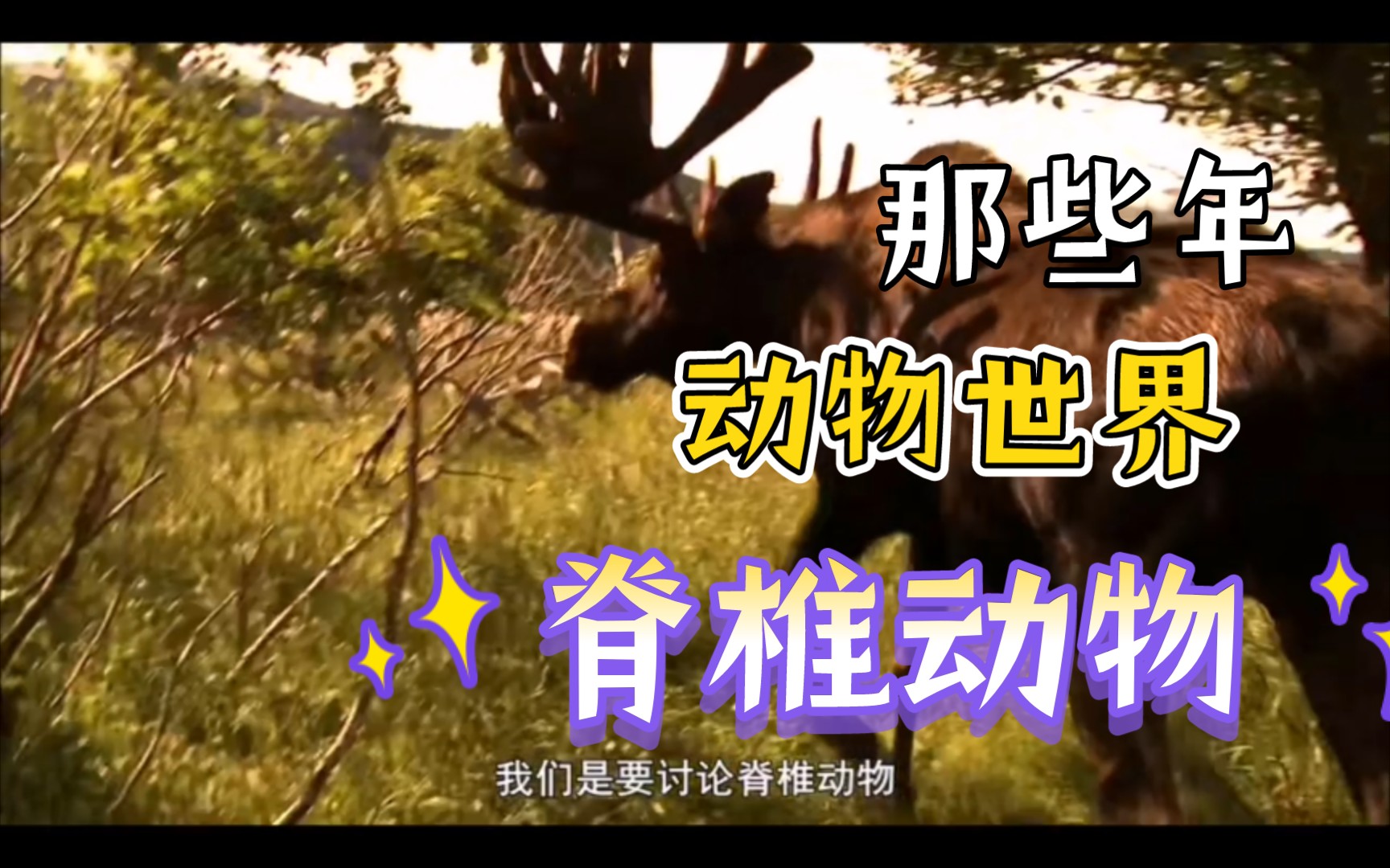 什么是脊椎动物?