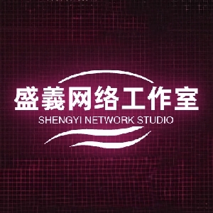 盛義网络工作室 