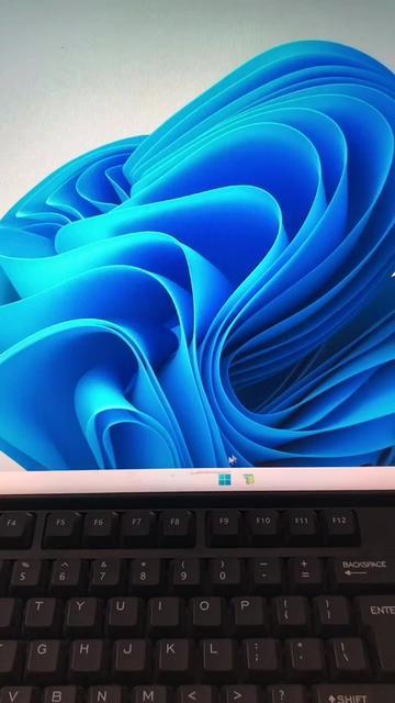 Win11的任务栏透明怎么弄?