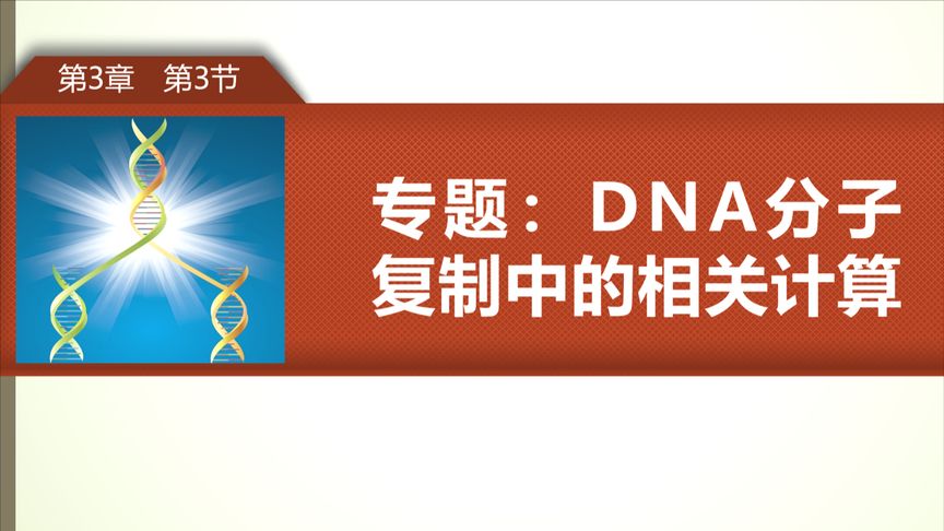 3.3专题:DNA分子复制中的相关计算