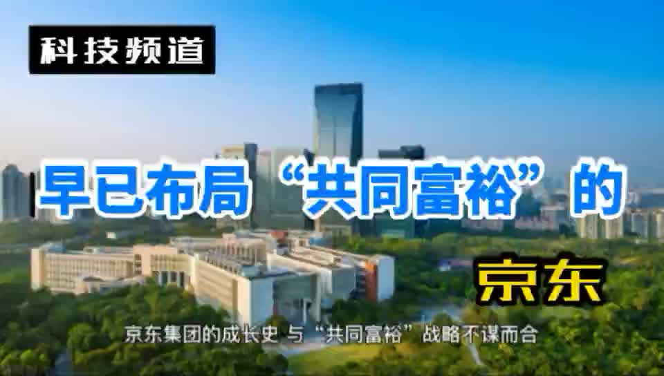 京东为何坚持低利润率运营?