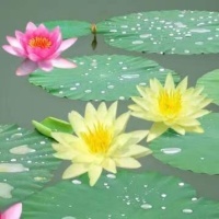 上海LiLi爱吃瓜