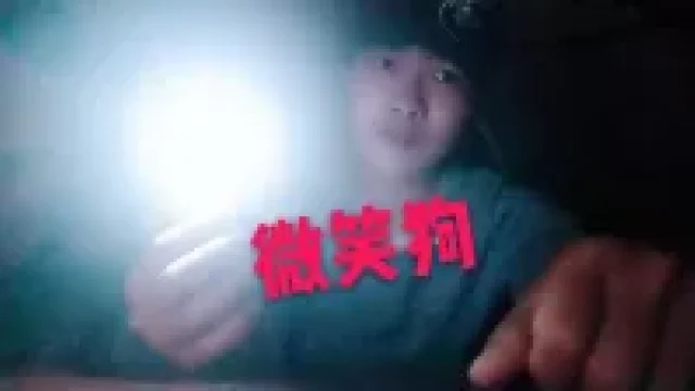 微笑狗的都市传说你知道吗?