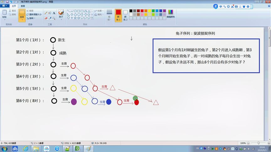 2、C语言进阶:常见算法-兔子序列-斐波那契序列
