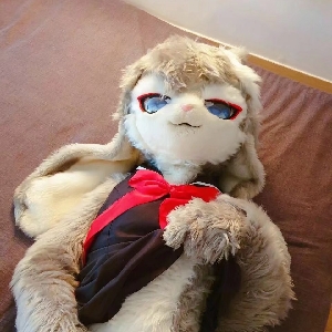 Meormy 