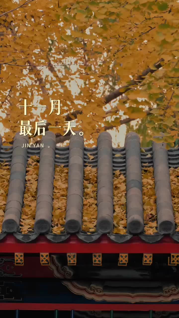 今天是11月的最后一天,和十一月再见,与十二月相迎,愿2025年最后的...