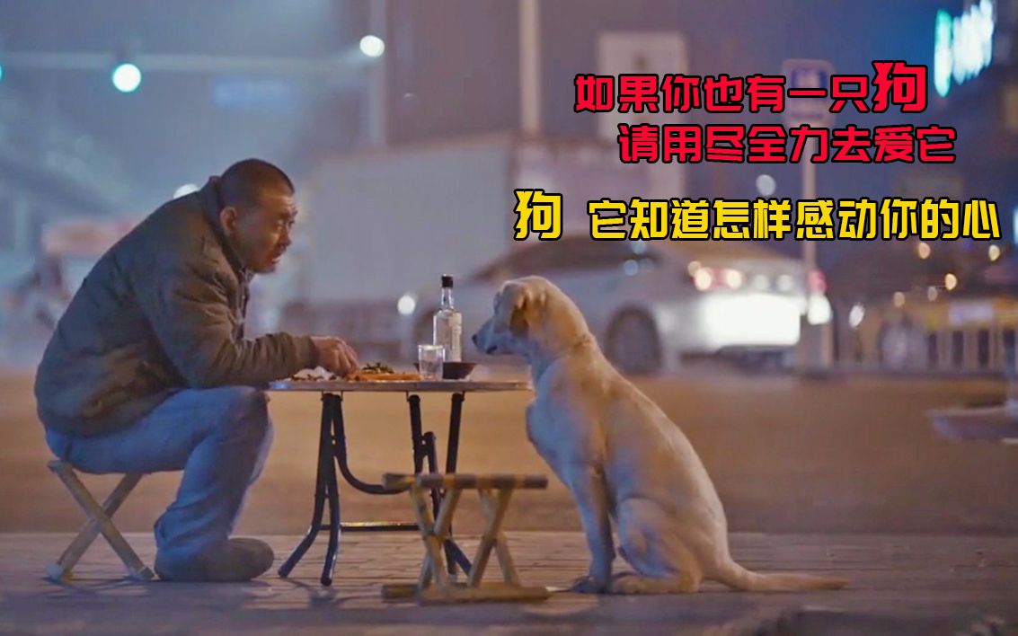 电影《小狗奶瓶》:喝过深夜的酒,遇见回家的狗,这部国产电影不敢看...