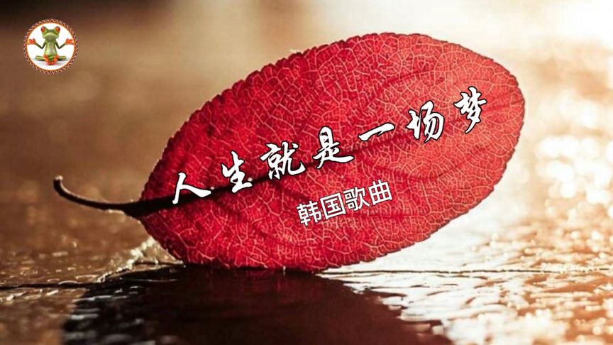 分享一首好听的韩国歌曲《人生就是一场梦》