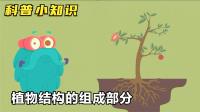 科普小知识:植物结构的组成部分,你们知道吗?
