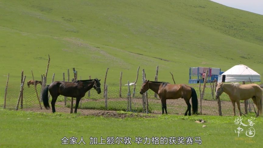 蒙古族的年度庆典——那达慕大会,看得人热血沸腾