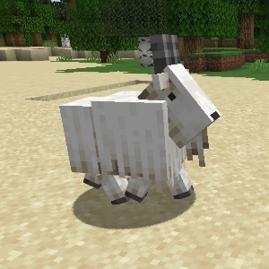 Minecraft_羊毛 