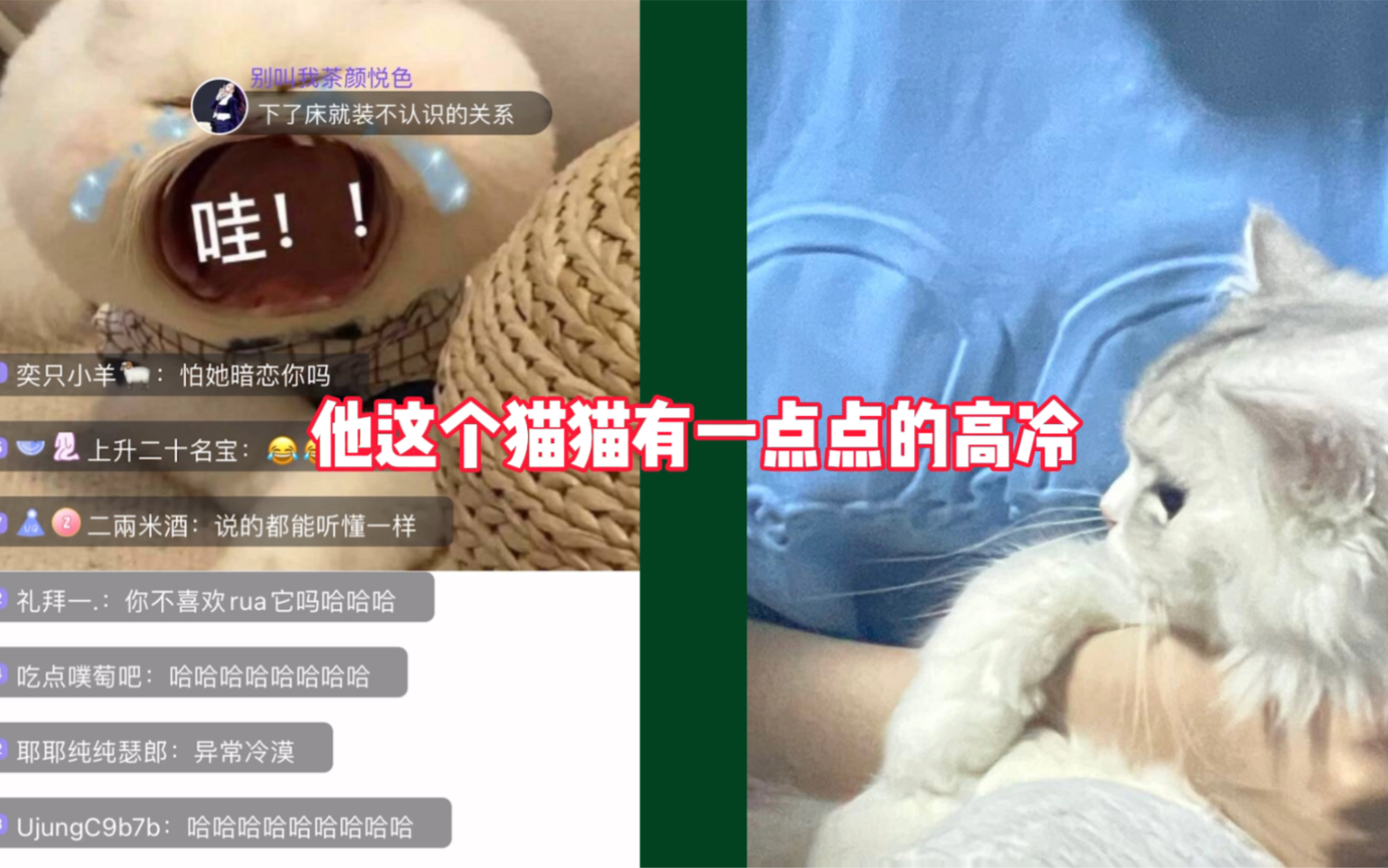 蒋舒婷:我和丢丢是熟悉的陌生人|它玩我的被子我玩手机|觉得丢丢很高...