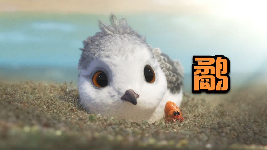 治愈!每一位父母亲都应该看的高分育儿动画短片《鹬》