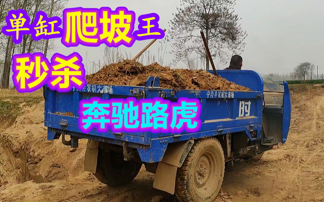 汽车比不了的农用单缸发动机,功率小装载能力强,时风你值得拥有