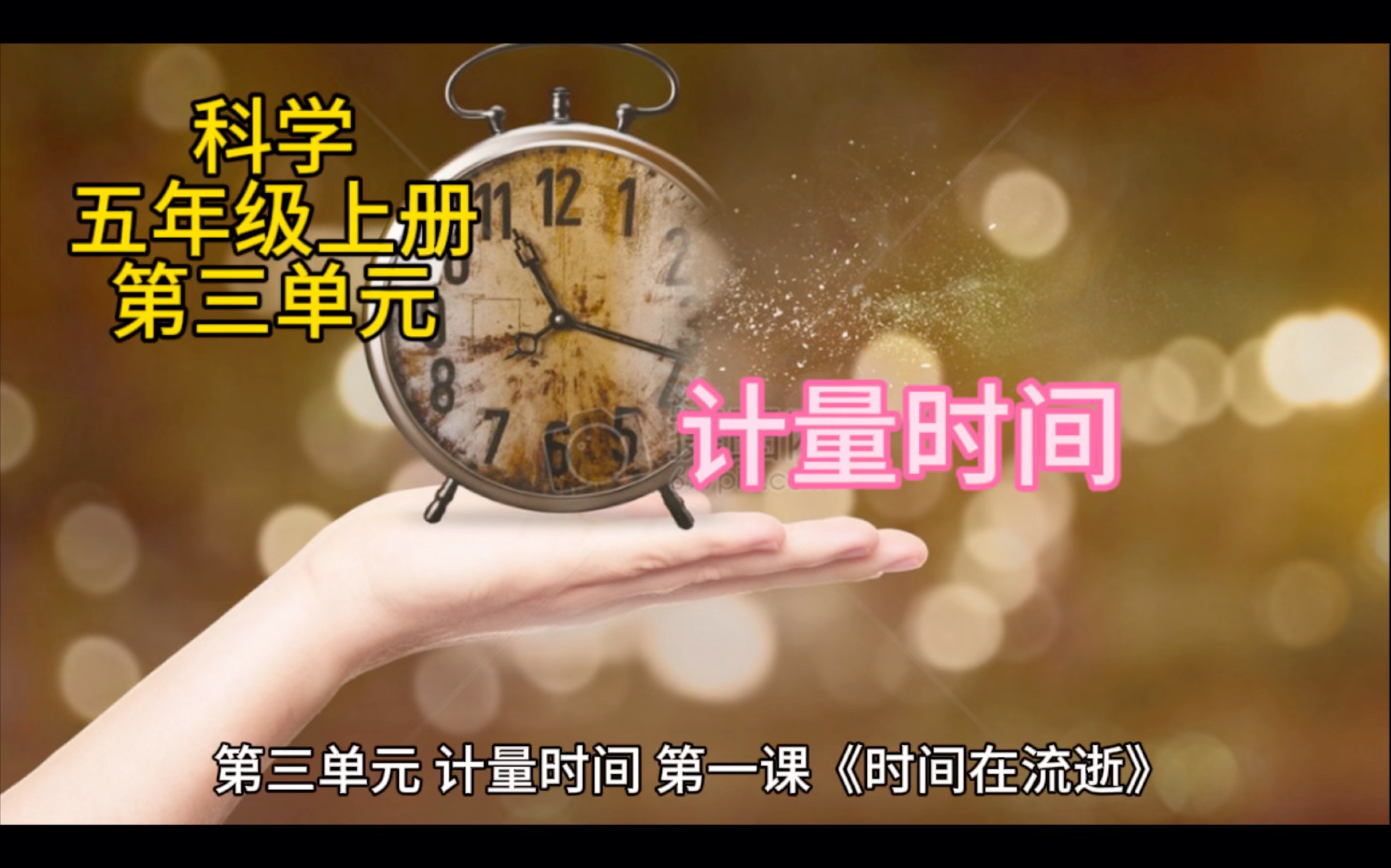 五年级上册科学第三单元知识点汇总