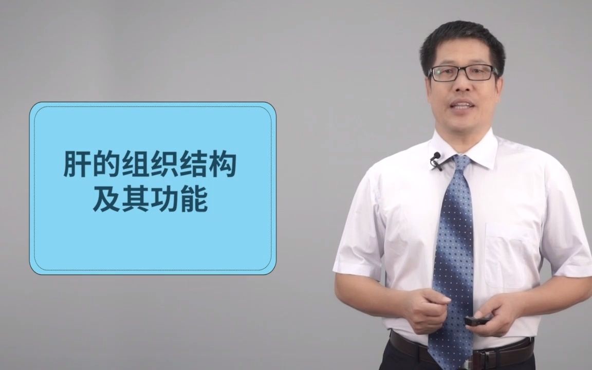 12.3 肝的组织结构及其功能