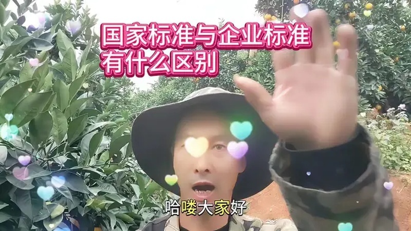 国家标准与企业标准的不同