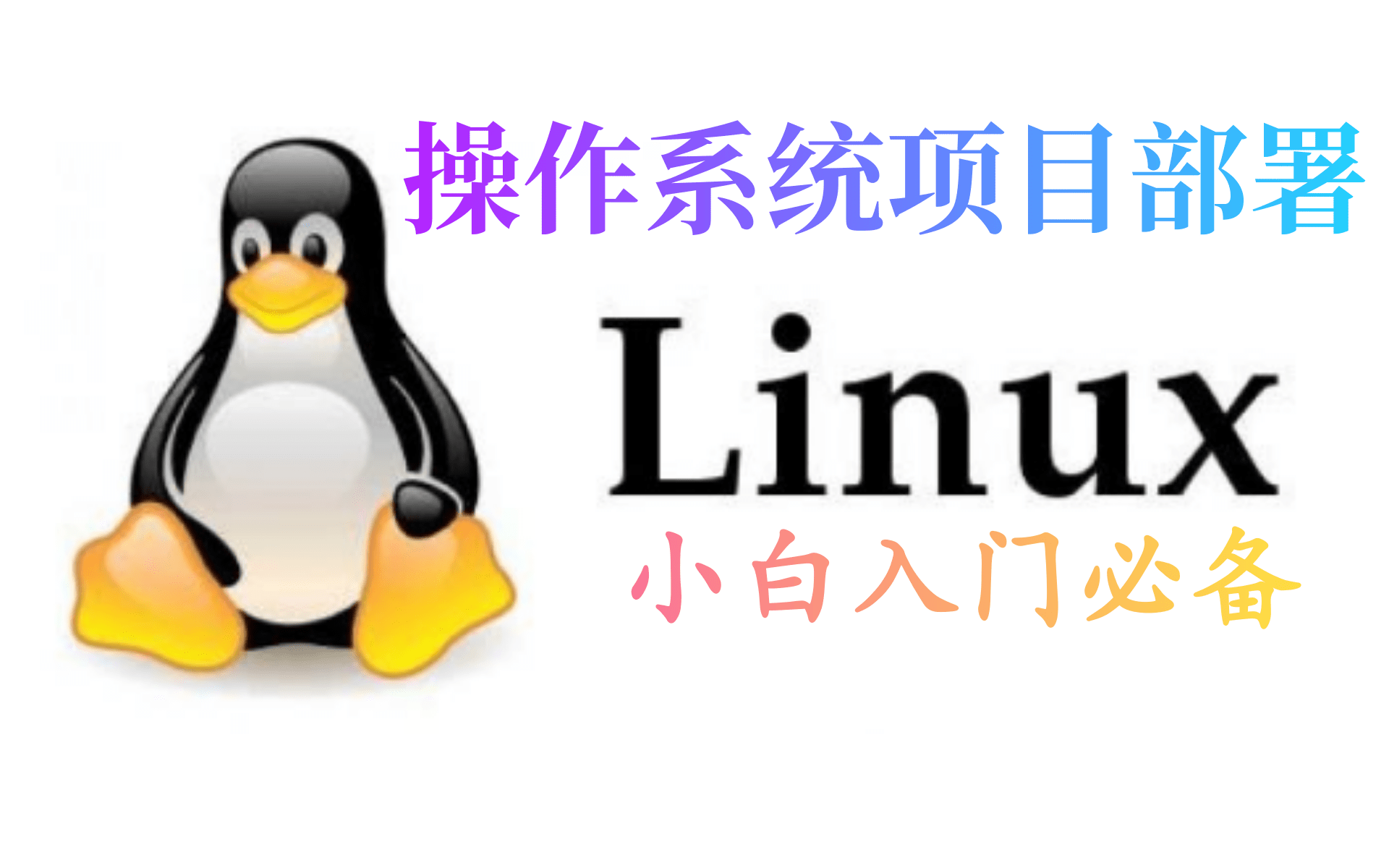 【Linux操作系统从入门到高级】2021完整版 Linux从入门到精通全套...