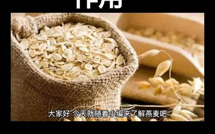 燕麦的营养价值和功效作用你知道多少