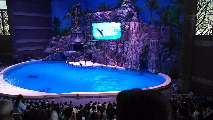 珠海长隆海洋王国一一海豚表演