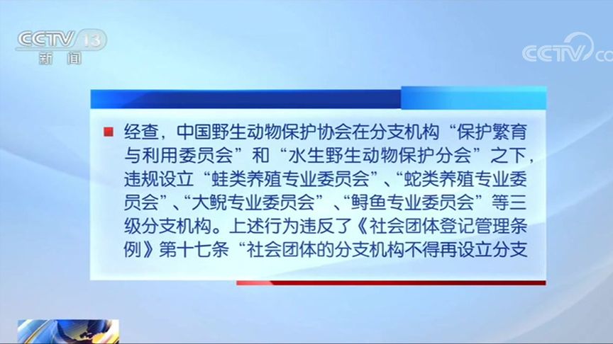 违规设立分支机构?民政部对中国野生动物保护协会作出警告处罚