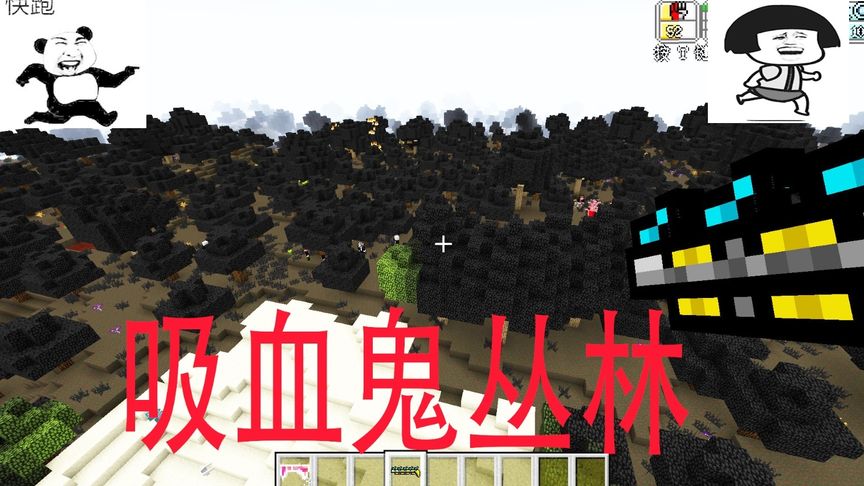 我的世界 吸血鬼传送门丛林,请勿靠近