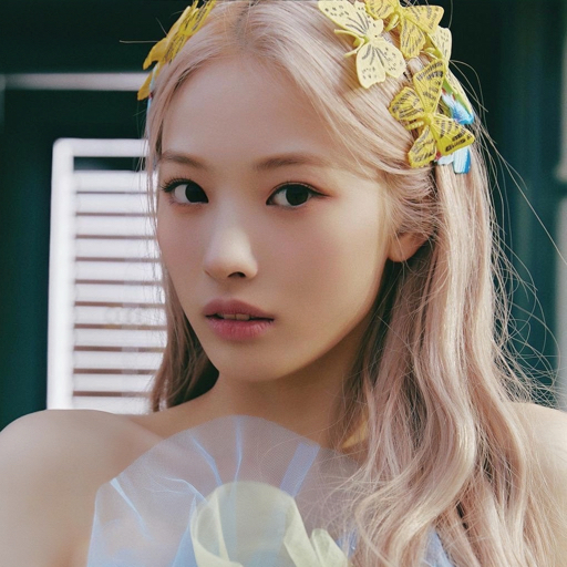 轻甄饭团酱_已退网 