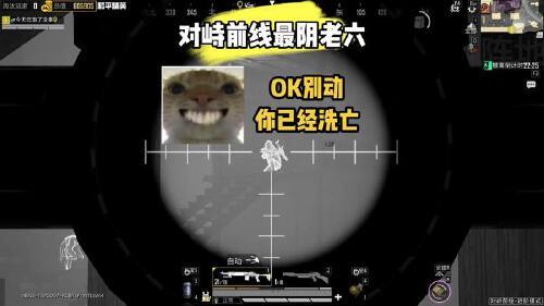 和平精英PC模拟器:前线老六终极对决,谁能识破我的隐身术?