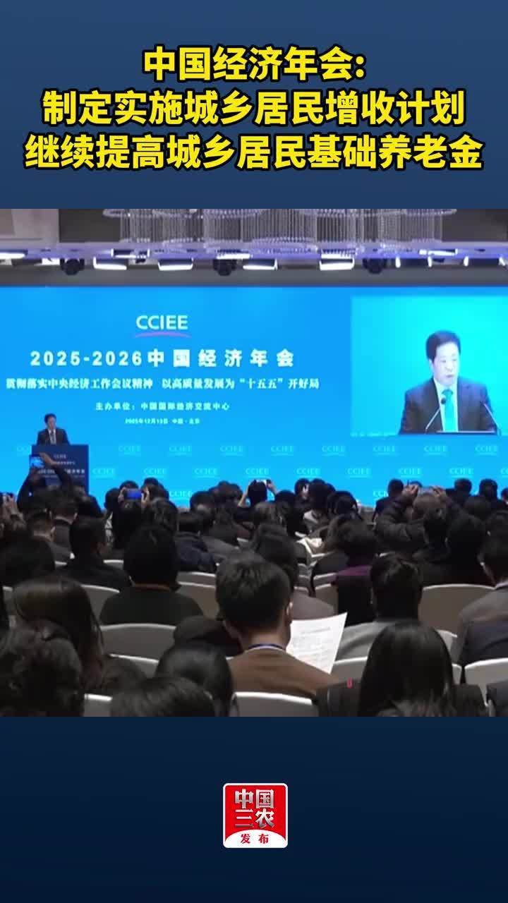 中国经济年会:制定实施城乡居民增收计划,继续提高城乡居民基础养老金