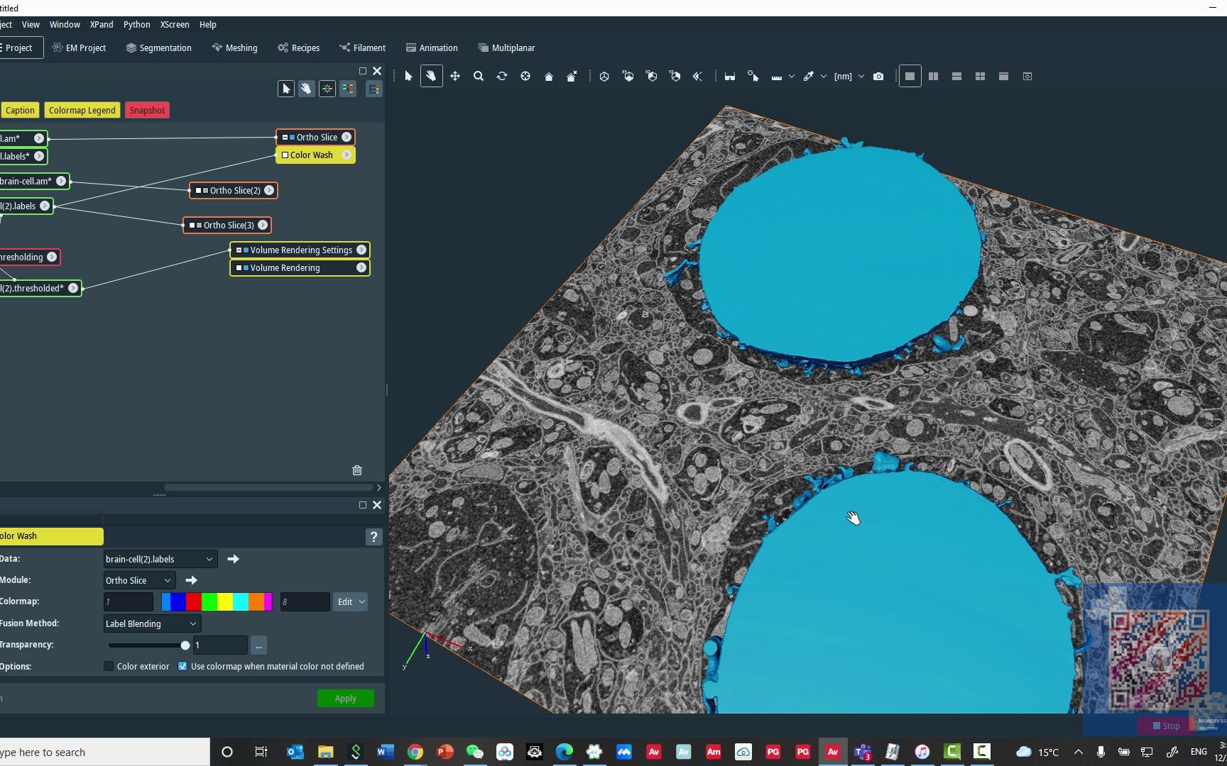 【Avizo Amira培训练习】 使用分水岭Watershed分割方法把细胞器分割