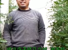 辣椒种植管理技术