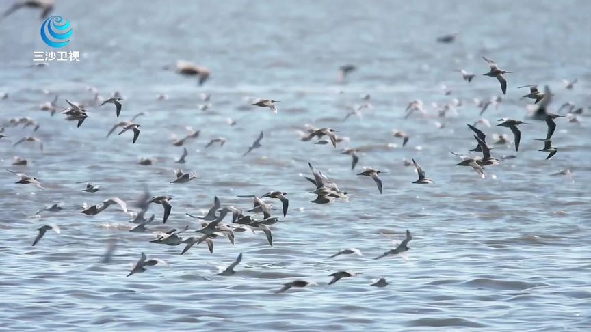 我国首部专门保护湿地的法律——《湿地保护法》,今日起正式实施