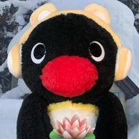 游戏茄子菌